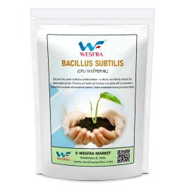 Premium Bacillus Subtilis Powder Fertilizer 1kg - Organic Plant Growth ...